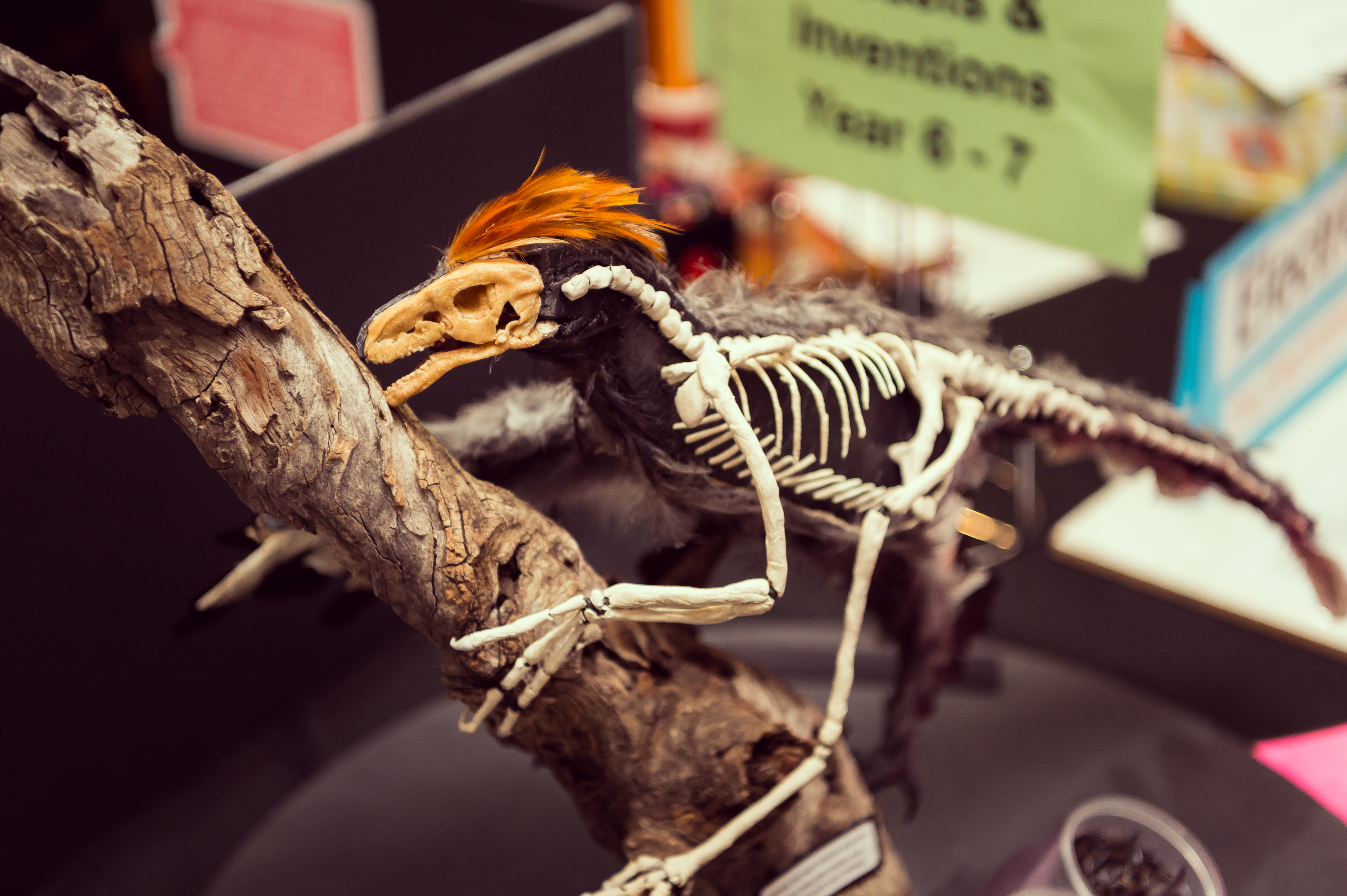 Phoebe's Top Tips for Making a Models & Inventions Project! | South ...