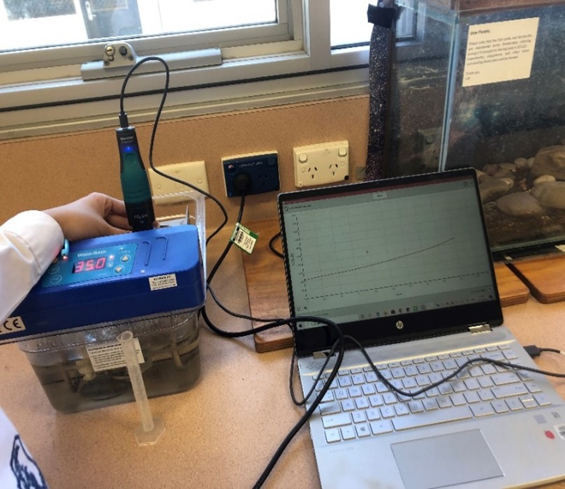 A Short Guide on how to Create a Scientific Inquiry Project | South ...