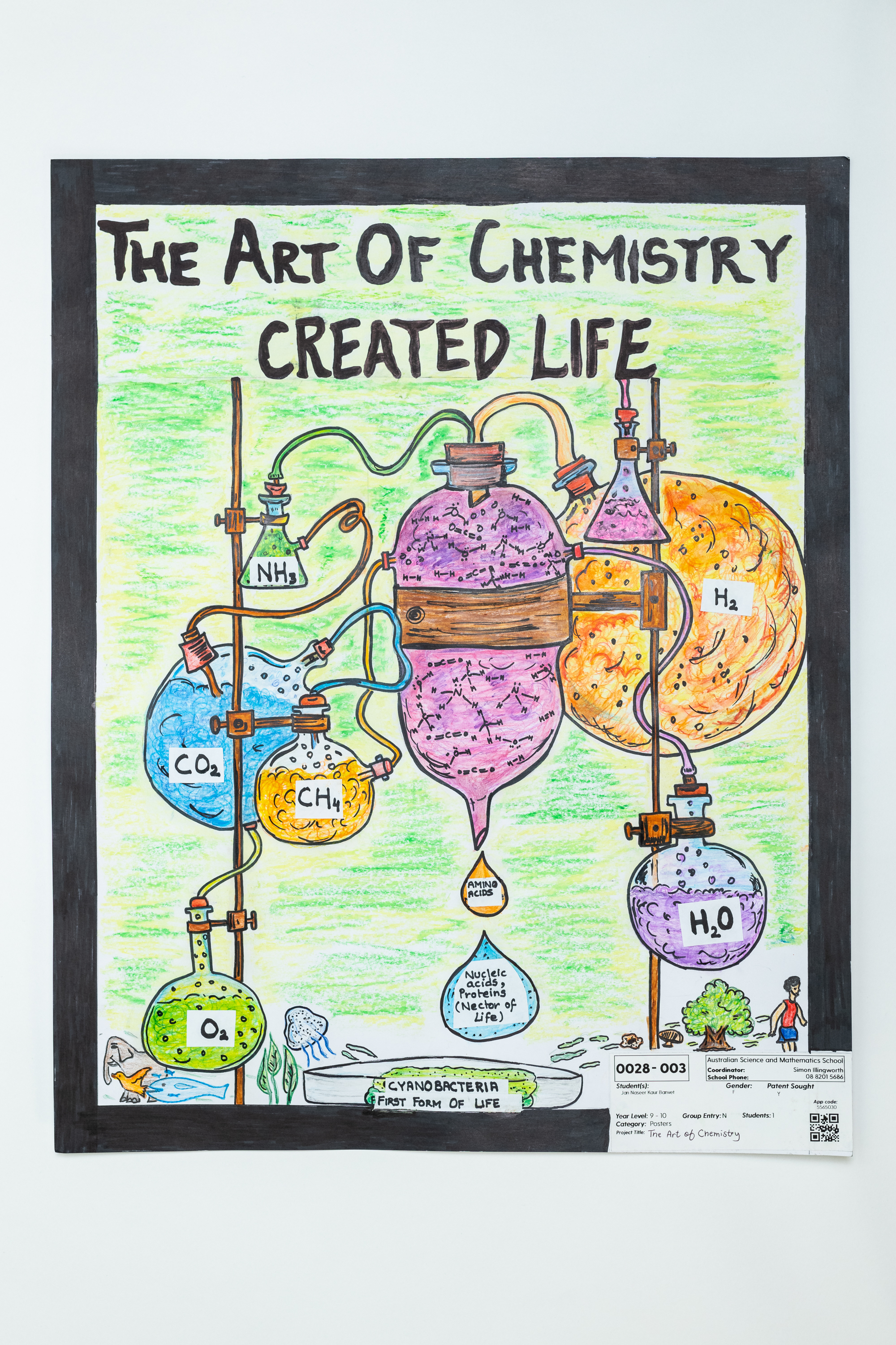 Chemistry Poster Projects