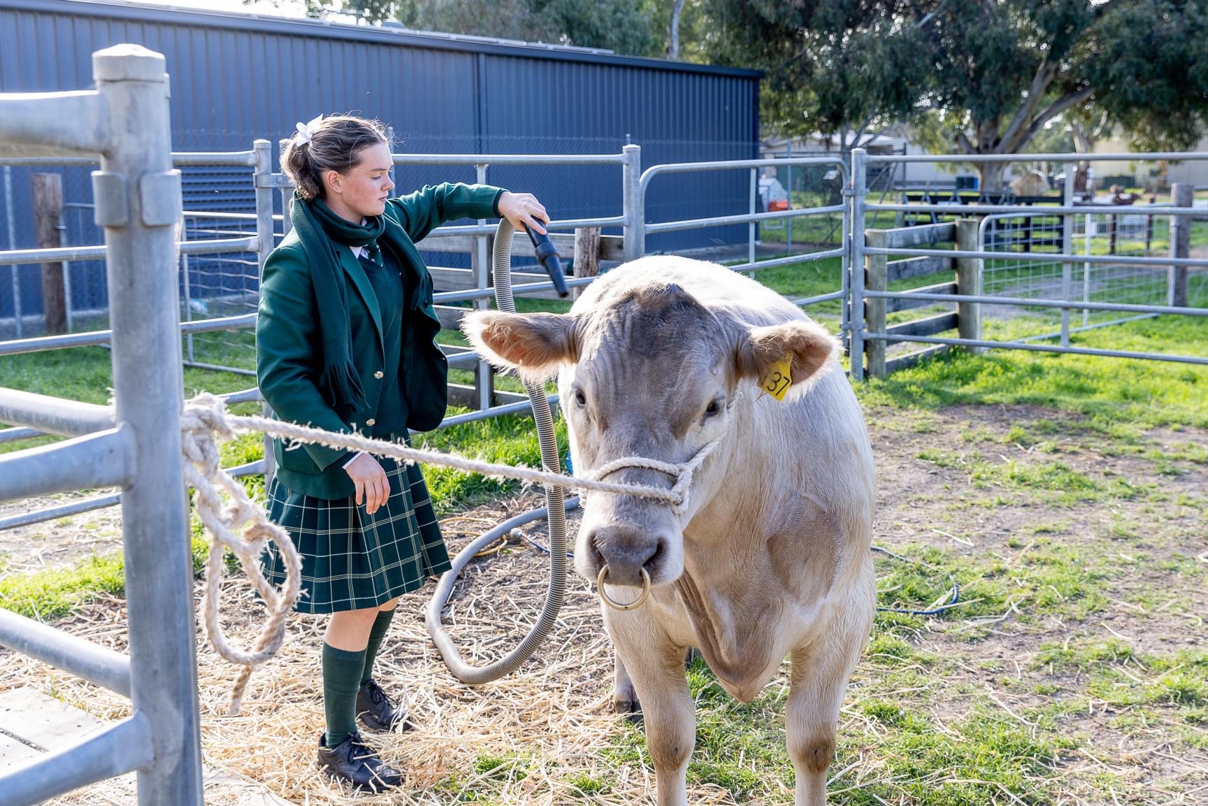 Agricultural Science at Westminster School | South Australian Science ...