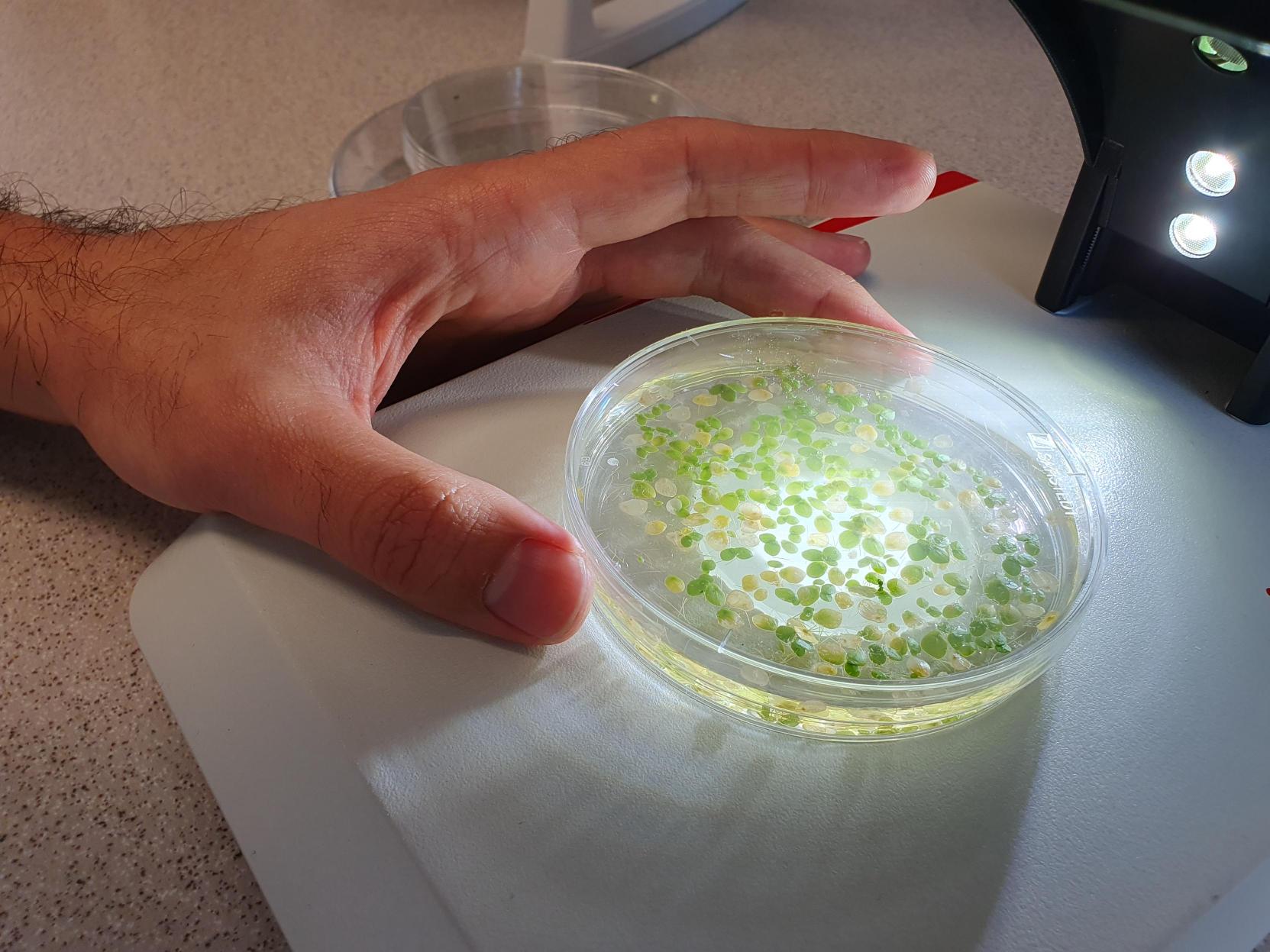 Space Agriculture: From Crater to Plate | South Australian Science ...